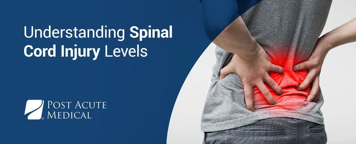 Spinal Cord Injury Levels And Function Chart Google Search Spinal